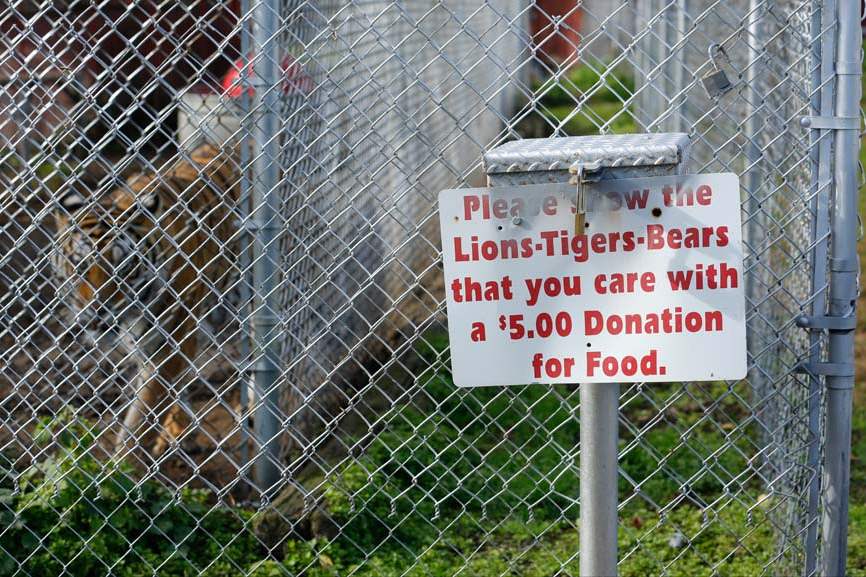 Tiger Ridge Exotics - The Blade